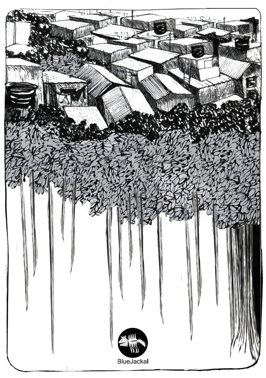 Jani Mhane (Jani Says) – ComixCanal